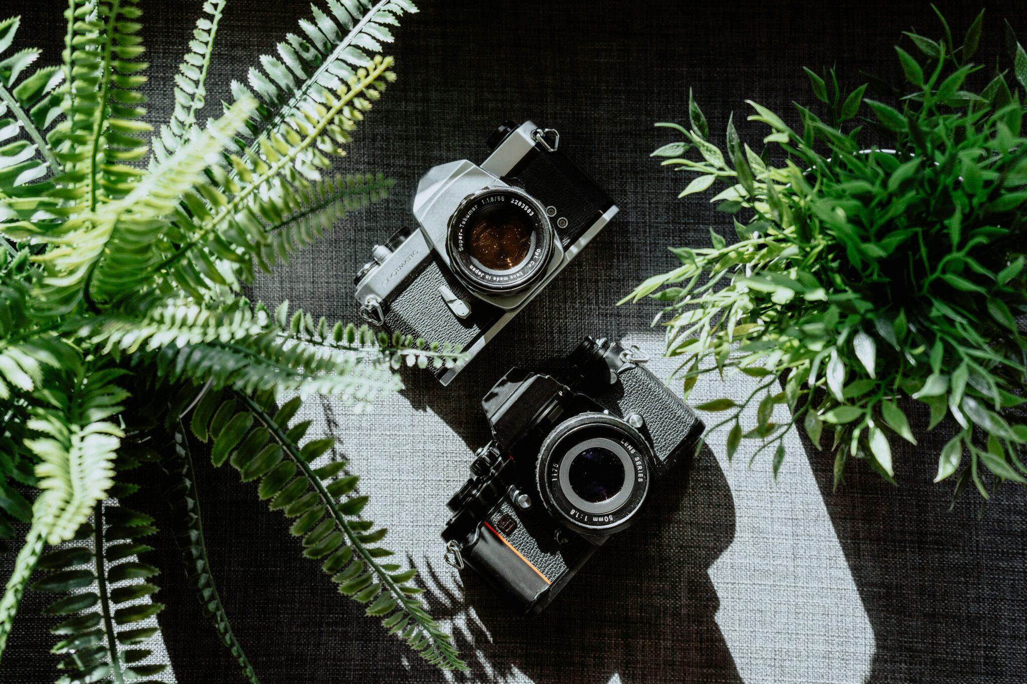What is Contrast in Photography? A Complete Guide - Norrisgraphy